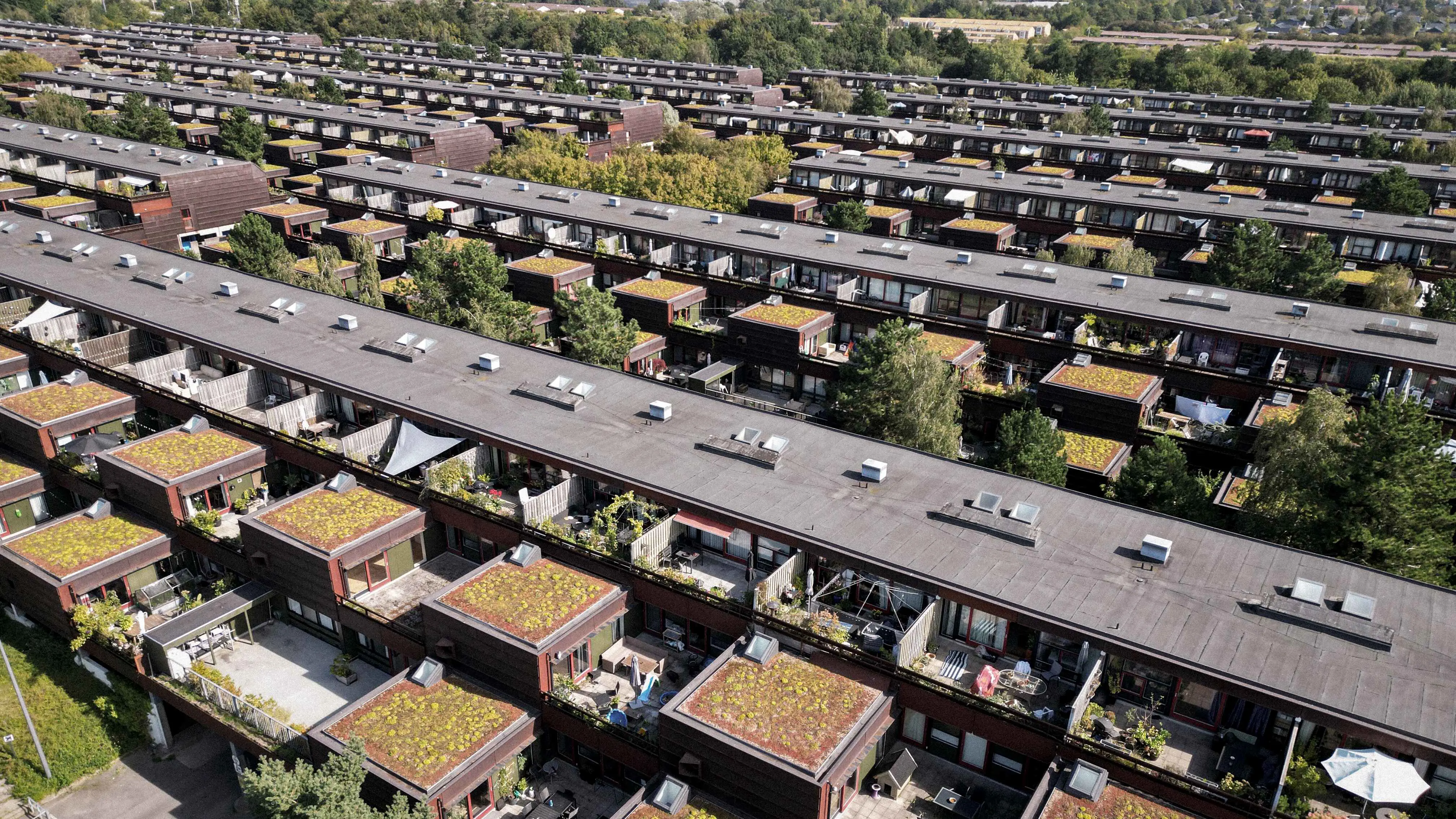 Hvad er en almen bolig? | BL - Danmarks Almene Boliger